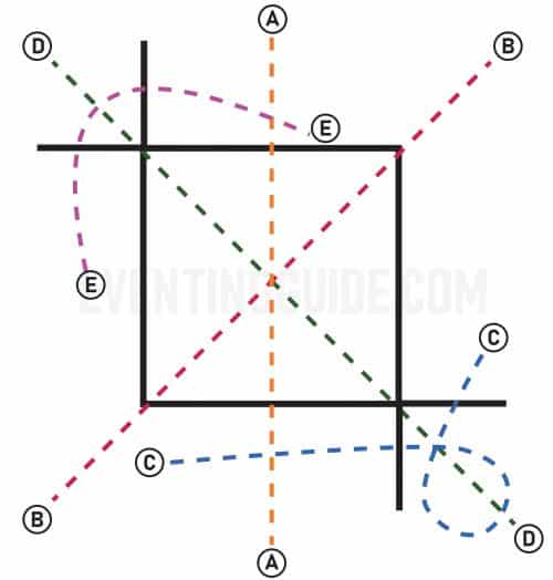 The Best Polework Exercises for Horse and Rider | Eventing Guide