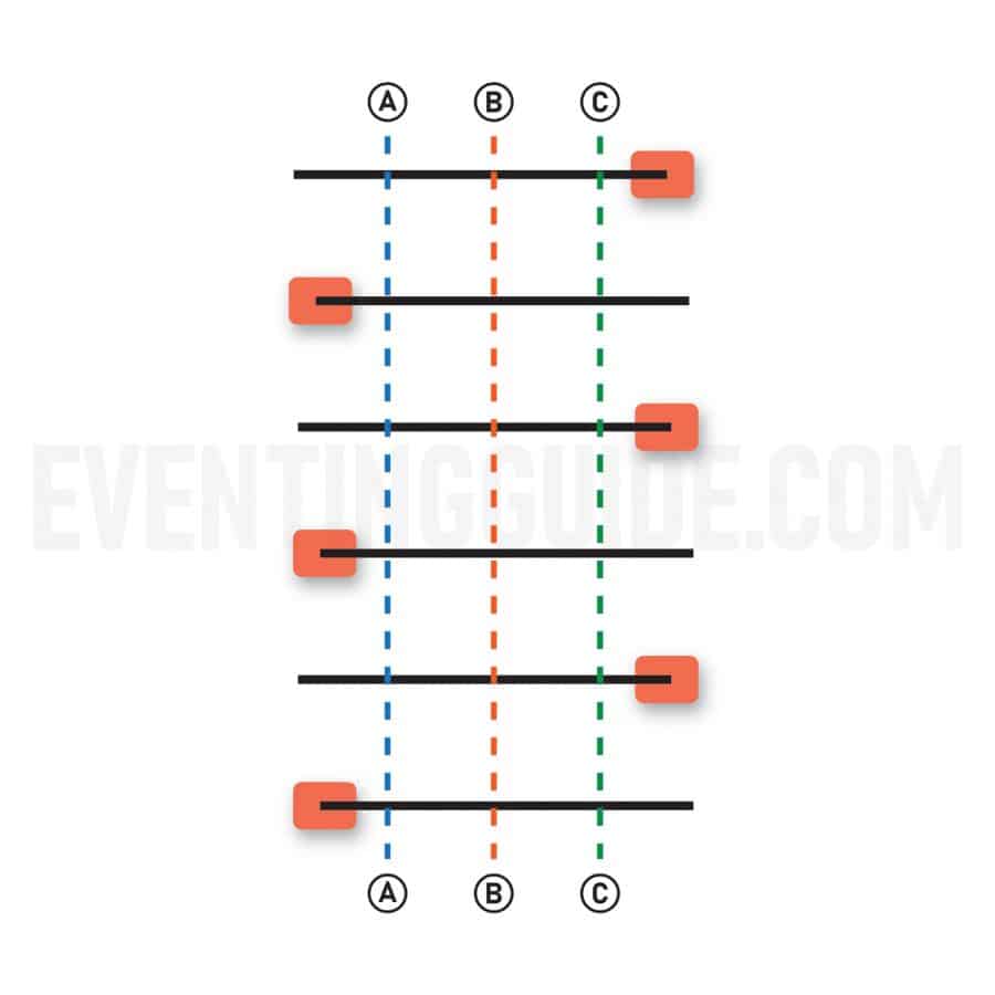 The Best Polework Exercises for Horse and Rider | Eventing Guide