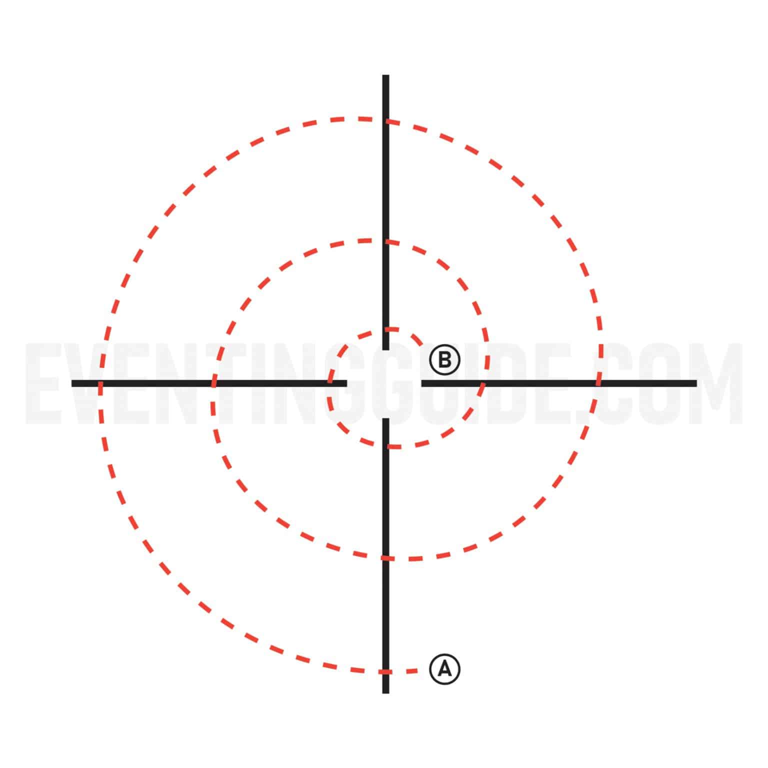 The Best Polework Exercises for Horse and Rider | Eventing Guide