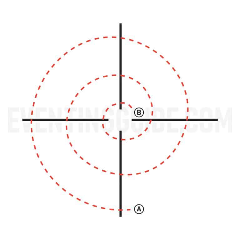 The Best Polework Exercises for Horse and Rider | Eventing Guide