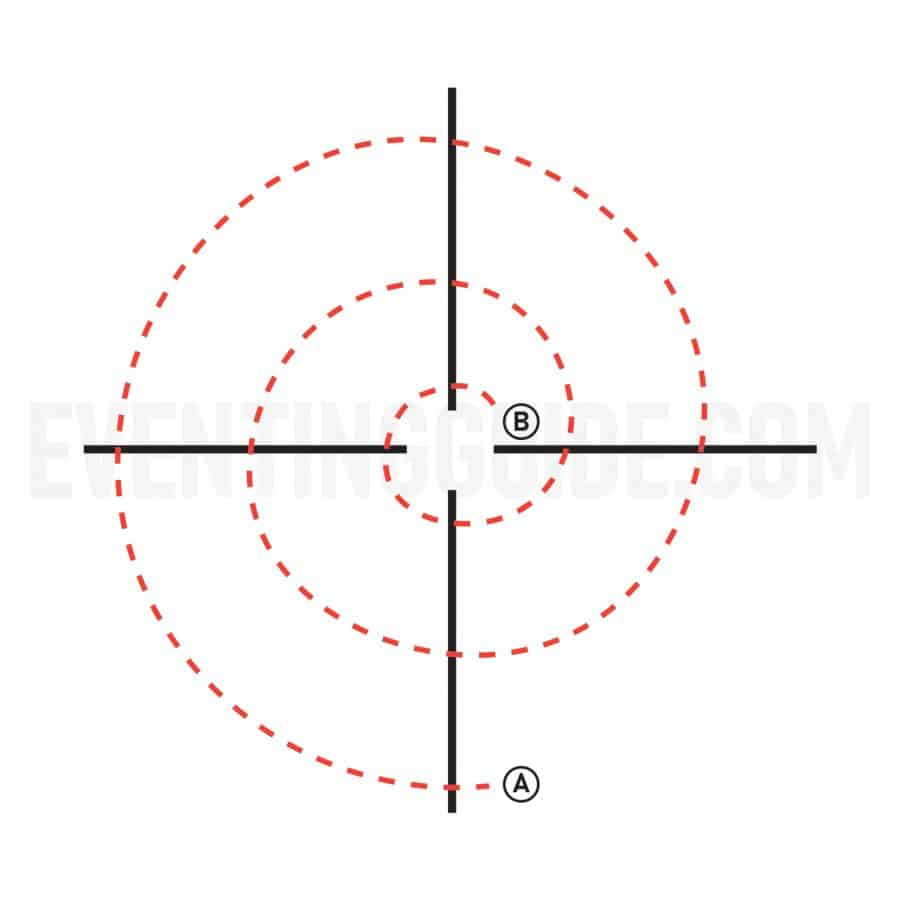 The Best Polework Exercises for Horse and Rider | Eventing Guide