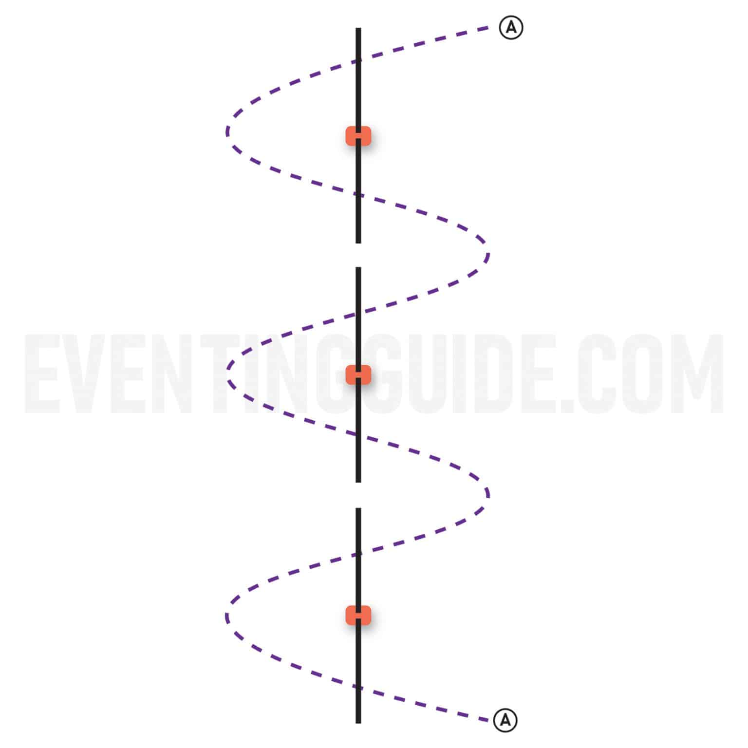 The Best Polework Exercises for Horse and Rider | Eventing Guide