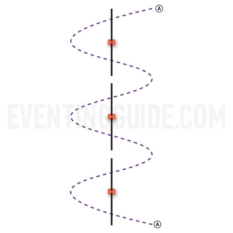 The Best Polework Exercises for Horse and Rider | Eventing Guide