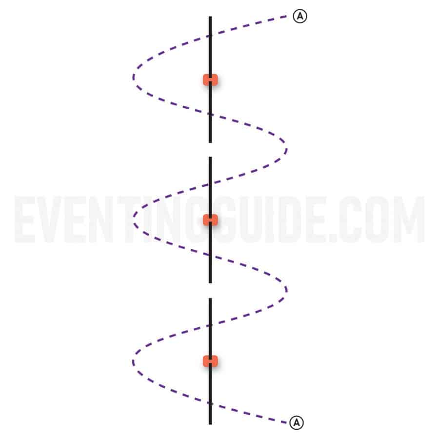 The Best Polework Exercises for Horse and Rider | Eventing Guide