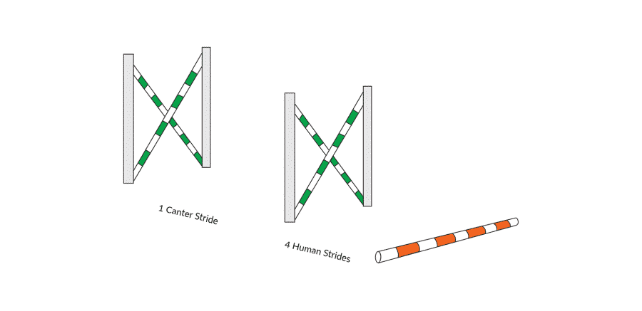 Effective Gridwork Exercises to Increase Power and Lift | Eventing Guide