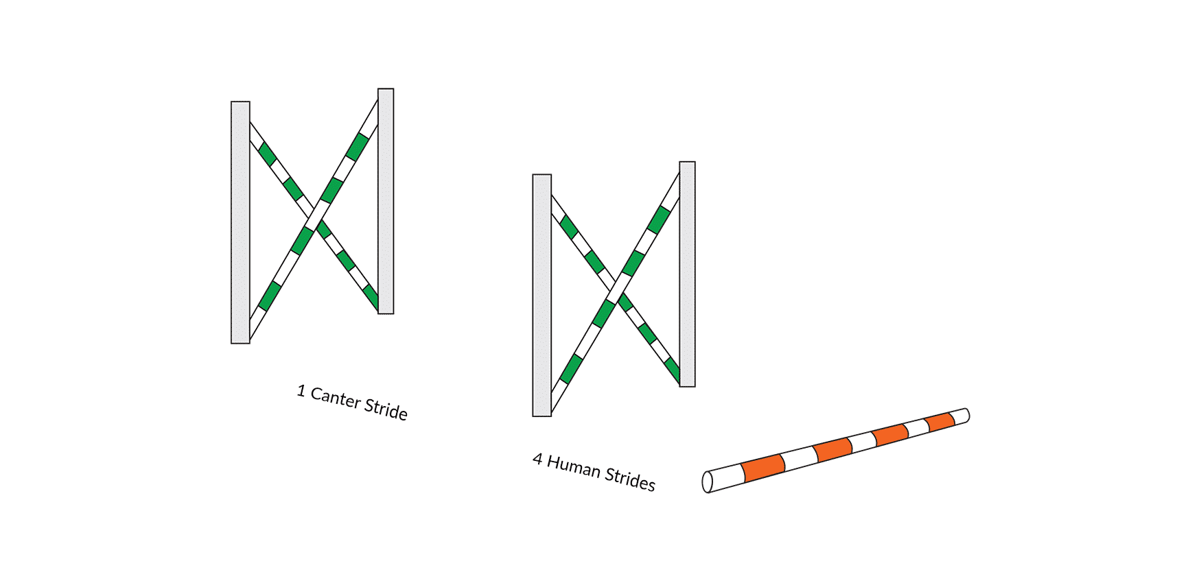 Effective Gridwork Exercises to Increase Power and Lift | Eventing Guide